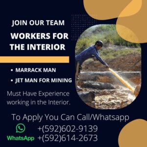 Understanding Guyana ZIP Code System